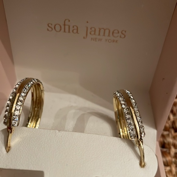 Sofia James | Jewelry | Sofia James New York Hoop Earrings Fine Silver ...